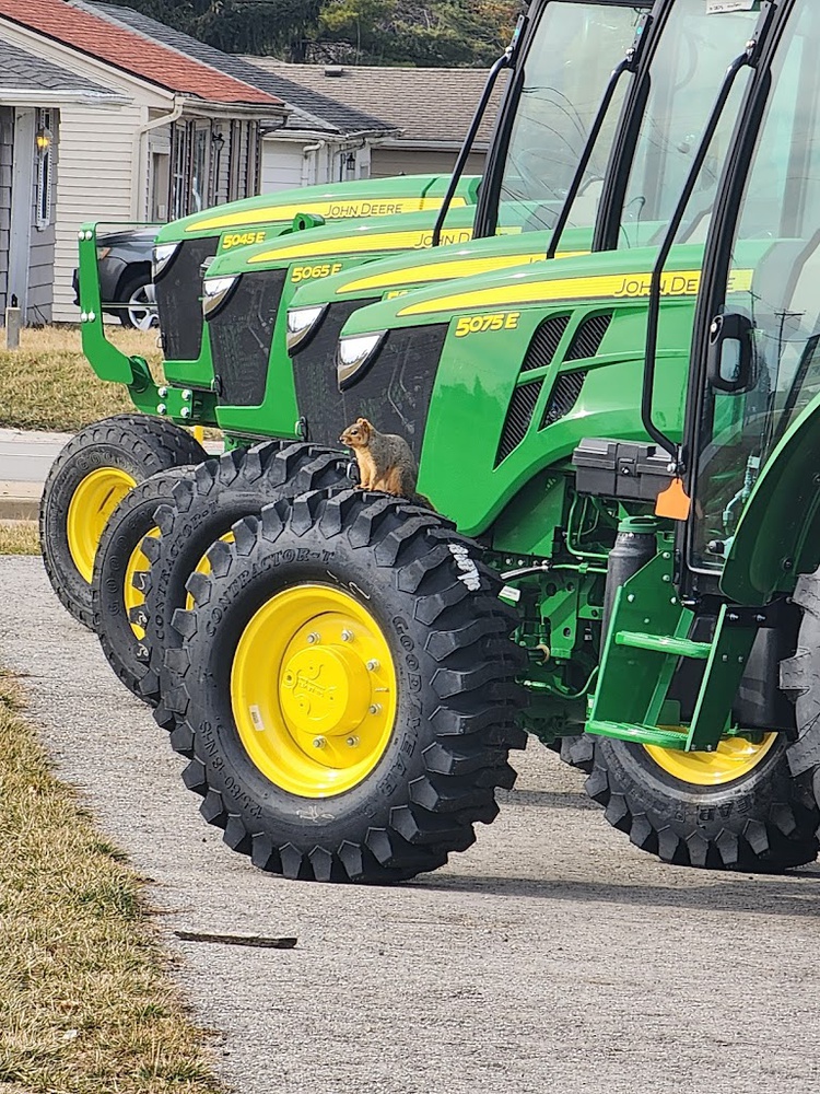 Mutton Power Equipment on Lima Rd in Fort Wayne, IN - 260-489-9751 ...