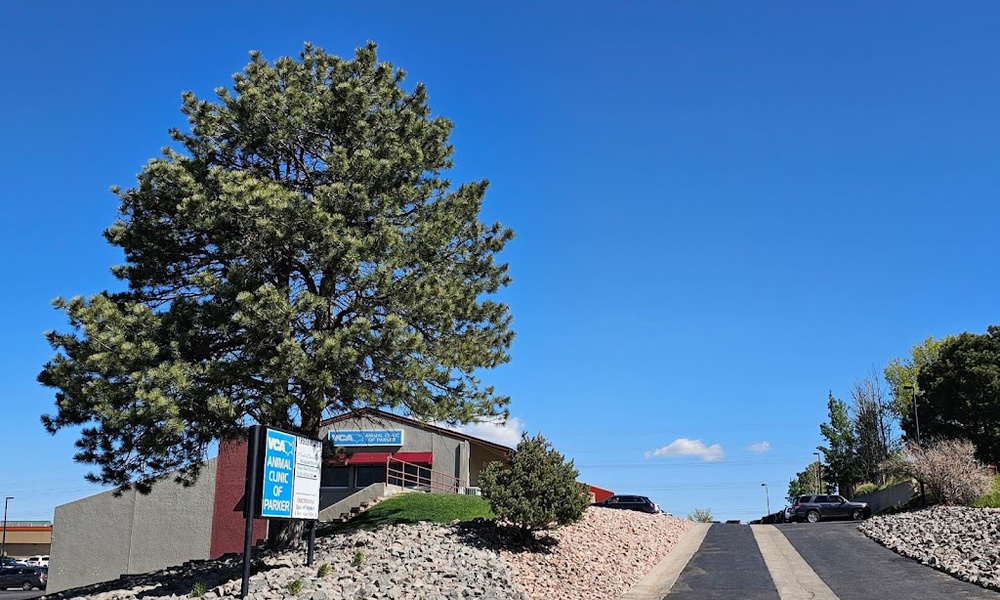 The Animal Clinic of Parker on Parker Sq Dr in Parker, CO - 303-840 ...