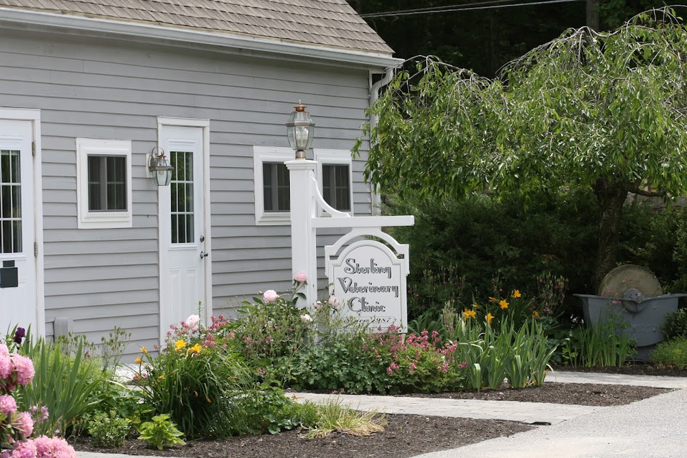 Sterling Veterinary Clinic on Clinton Rd in Sterling, MA - 978-422-6262 ...