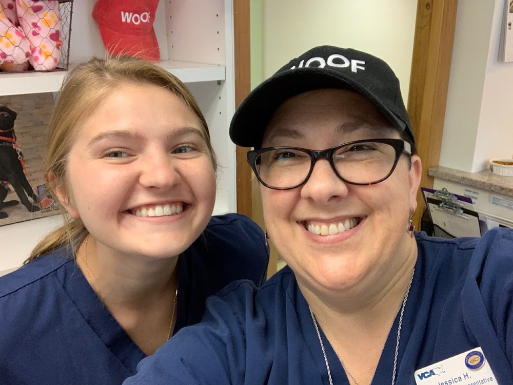 Sterling Veterinary Clinic on Clinton Rd in Sterling, MA - 978-422-6262 ...